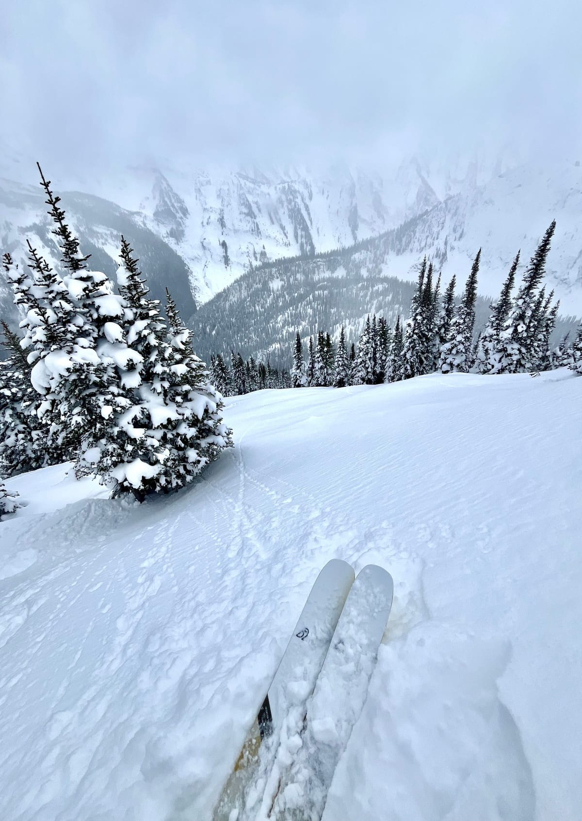 The Best Powder Skiing of the Season